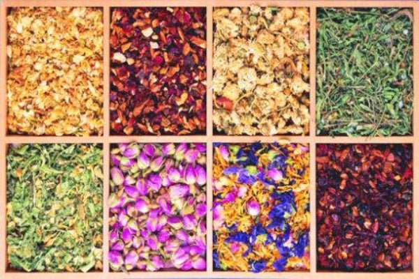 6 Gentle Herbs to Sip Daily for Balance – Tiger Lily Tea Co